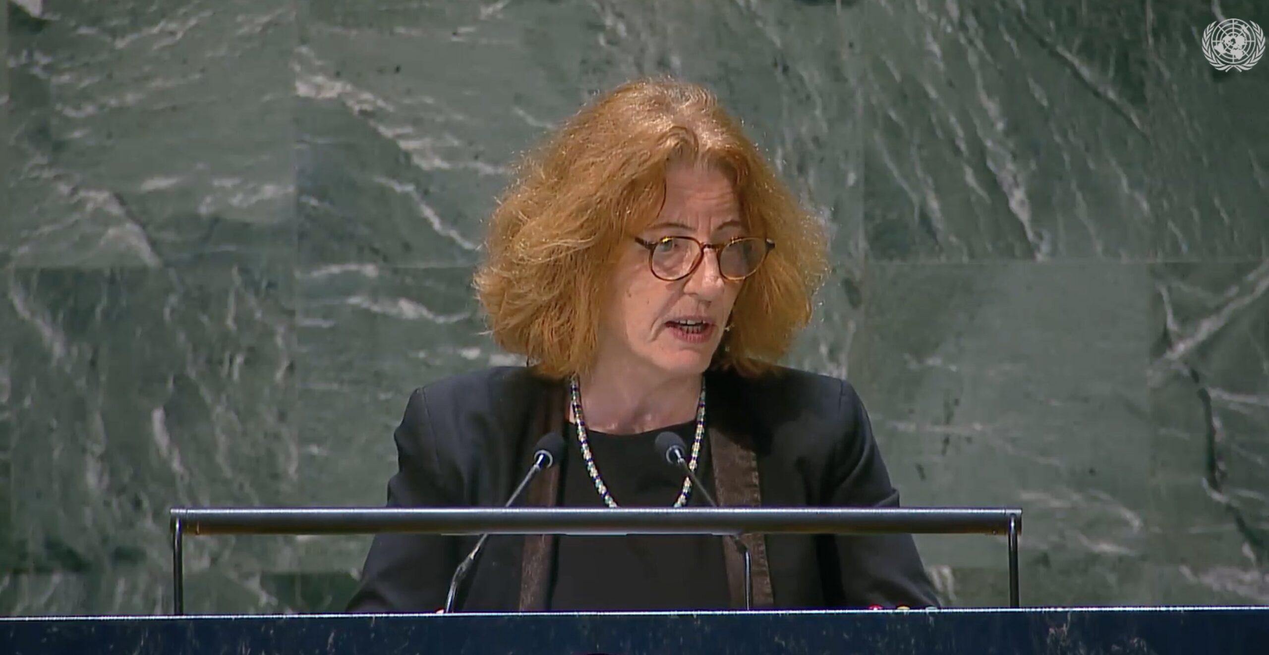 UN General Assembly Debate on the Responsibility to Protect, 2024 ...
